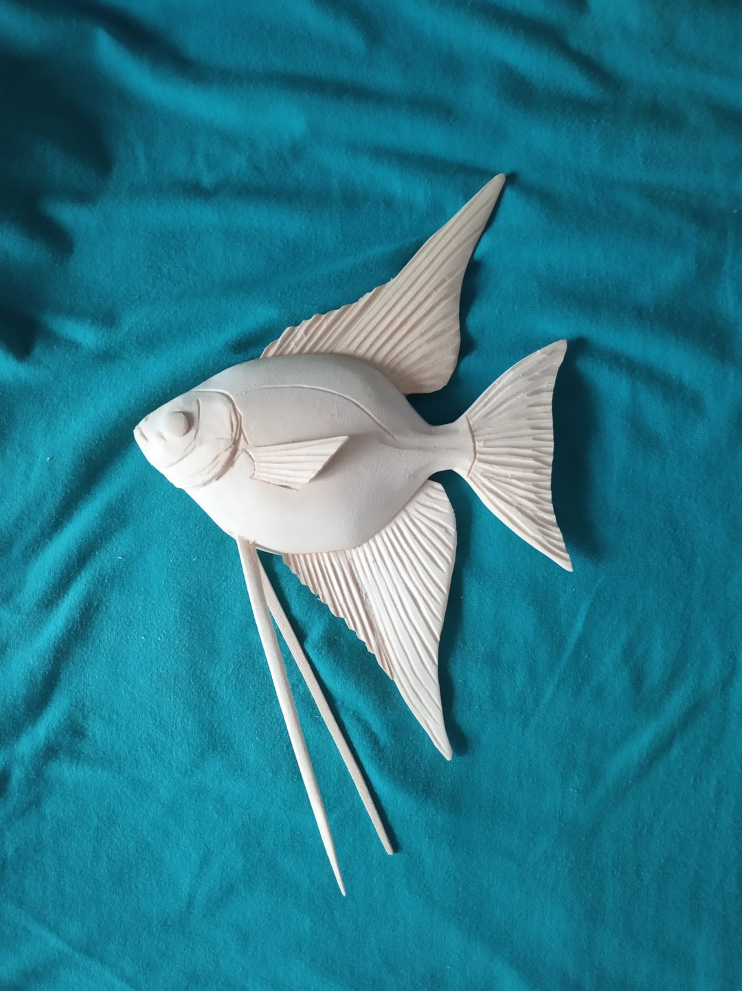 Scalaria Fish Blank, 5-10 Inches 3D Wall Wooden Fish Blank, Wall ...