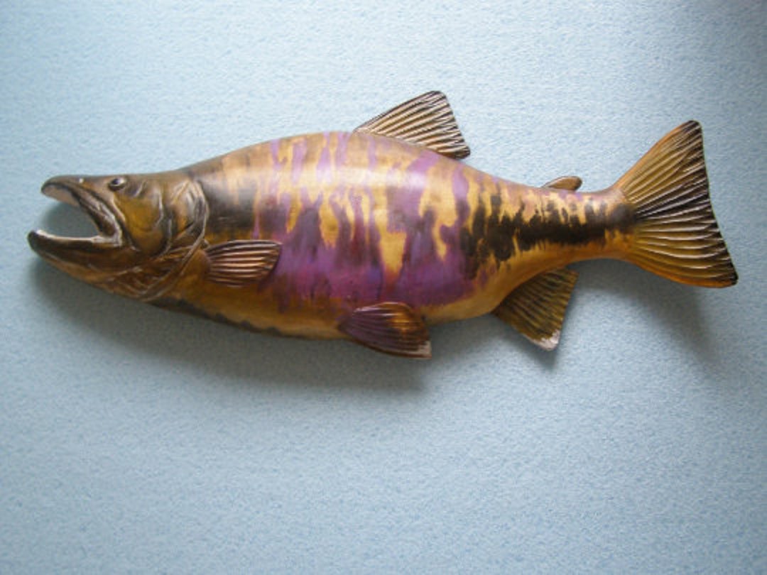 Spawning Male Chum Salmon, Dog Salmon, Oncorhynchus Keta, 16-20 Inch 3D ...