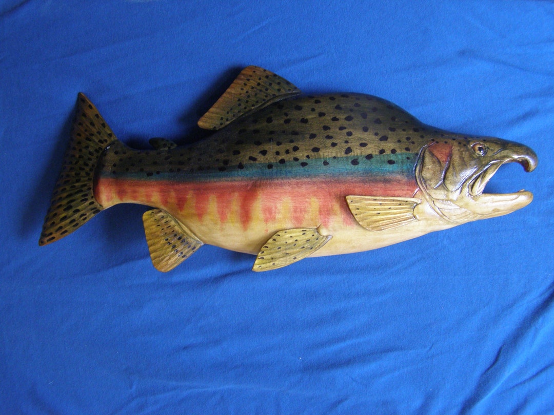 Spawning Male Pink Salmon, Oncorhynchus Gorbuscha, Humpbacked Salmon ...