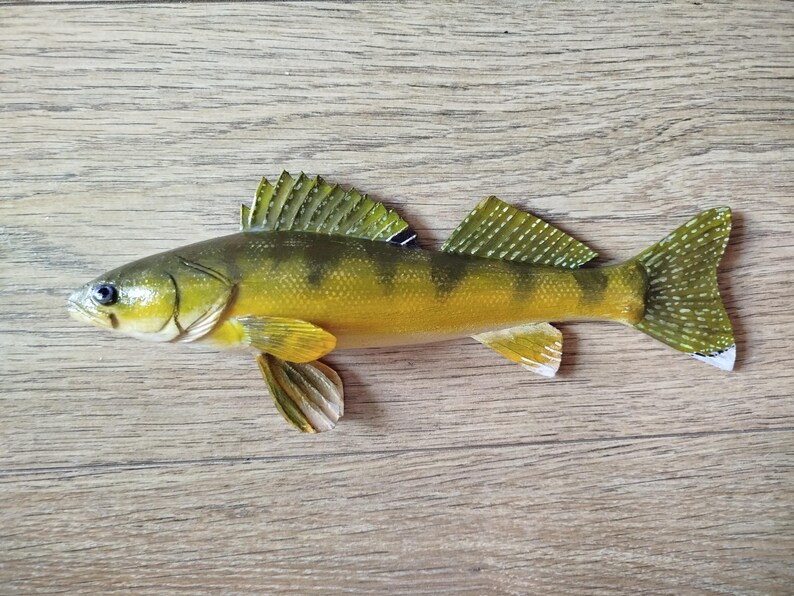 Walleye, Sander Vitreus, Yellow Walleye, 5-10 Inches 3D Wall Wooden ...