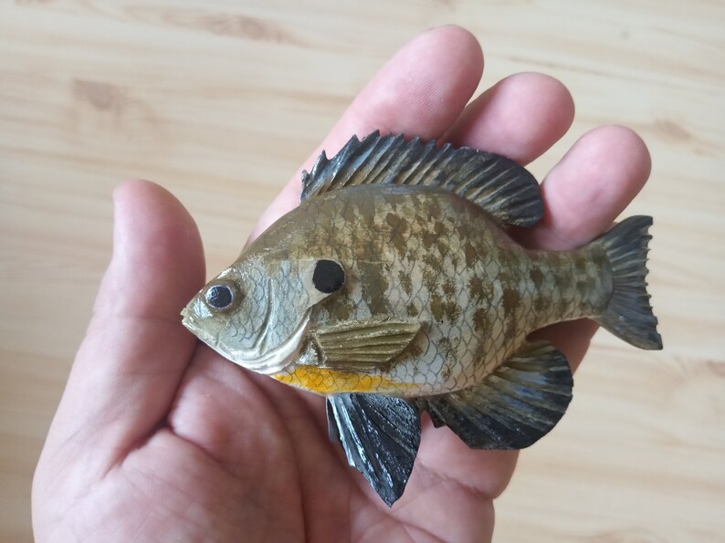 Female Bluegill, Lepomis Macrochirus, 5-10 Inches 3D Wooden Fish, Both ...
