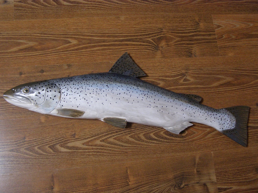 Atlantic Salmon, Salmo Salar, Salmon, 36-40 Inches 3D Wall Wooden Fish ...