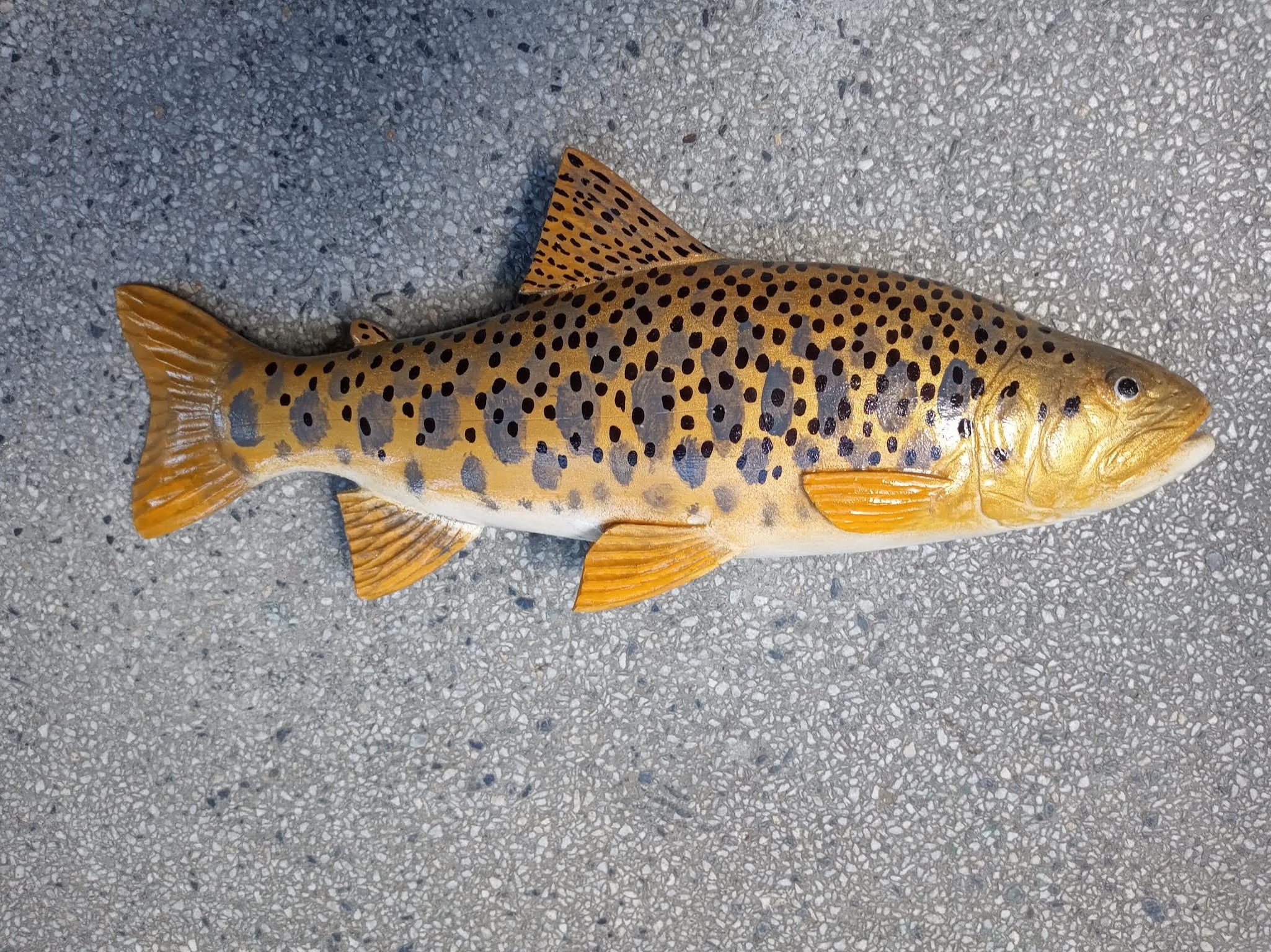 Mediterranean Trout, Salmo Cettii, 11-15 Inch 3D Wooden Fish, Both ...