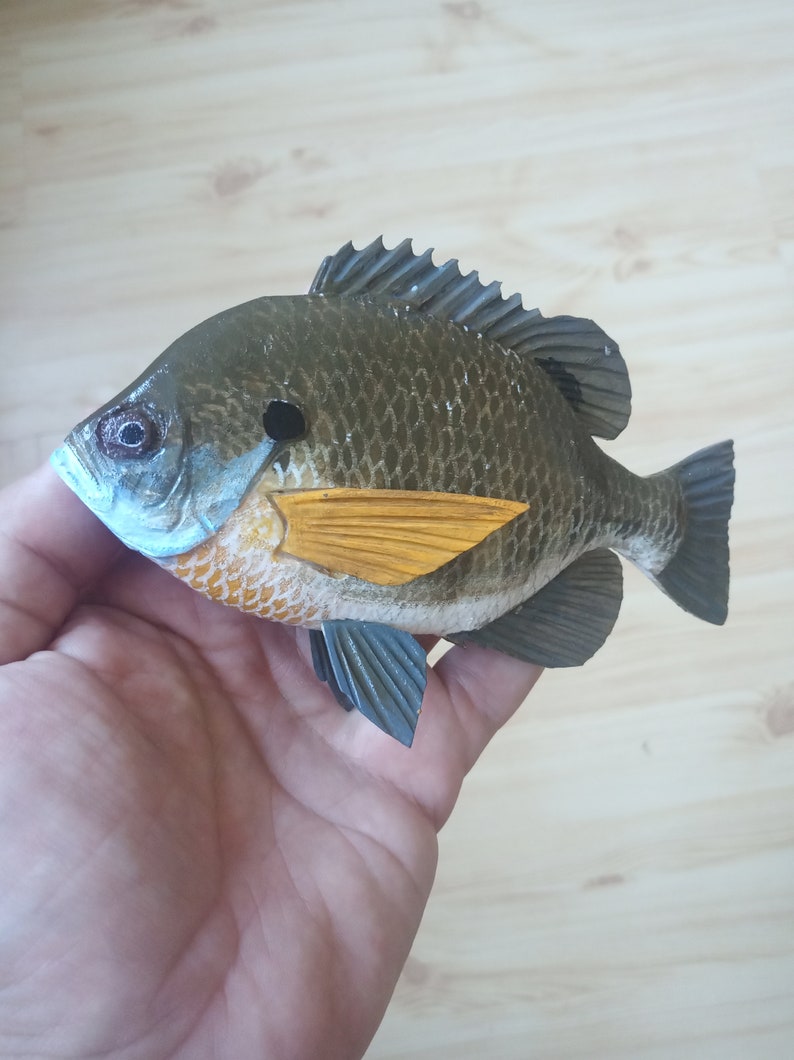 Male Bluegill, Lepomis Macrochirus, 5-10 Inches 3D Wooden Fish, Both ...