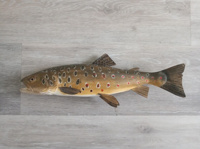 Brown Trout, Salmo Trutta, River Trout, 11-15 Inches 3D Wooden Fish ...