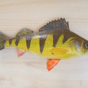 Yellow Perch, Perca Flavescens, American Perch, 11-15 Inches 3D Wall ...