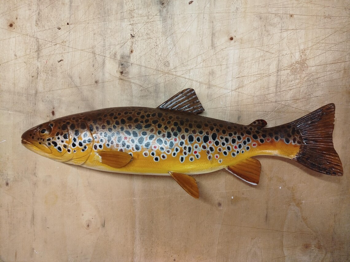 Brown Trout, Salmo Trutta, River Trout, 11-15 Inches 3D Wooden Fish ...