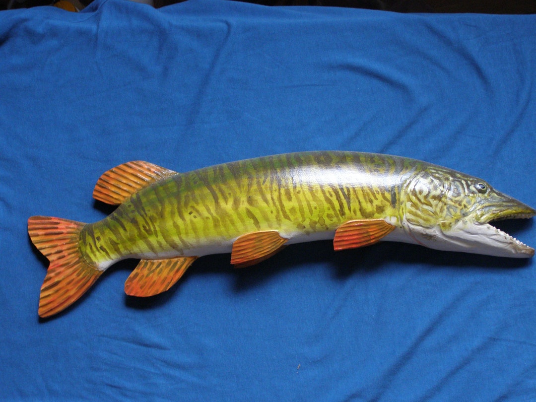 Tiger Pike, Tiger Muskellunge, Tiger Muskie, 16-20 Inches 3D Wooden ...