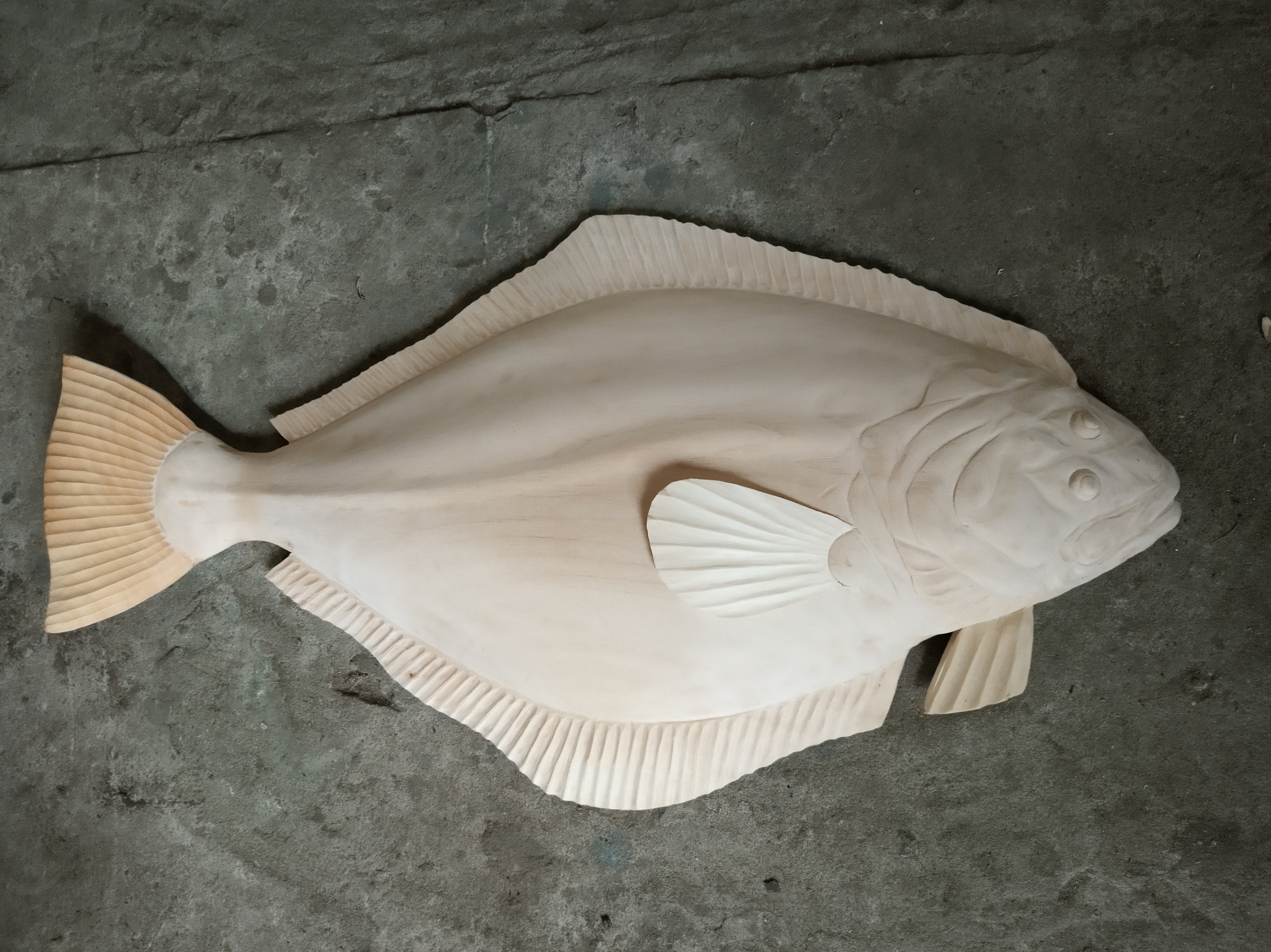 Halibut Fish Blank, 16-20 Inches 3D Wall Mounted Fish Blank, One Side ...