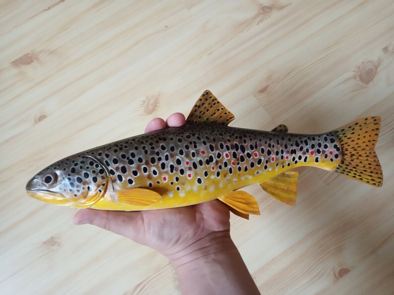 Brown Trout, Salmo Trutta, River Trout, 16-20 Inches 3D Wall Wooden ...