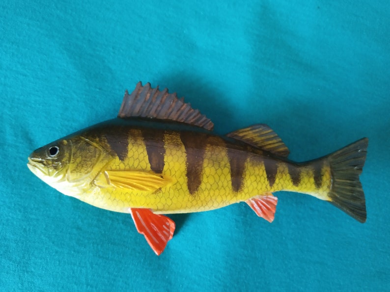Yellow Perch, Perca Flavescens, American Perch, 5-10 Inches 3D Wooden ...