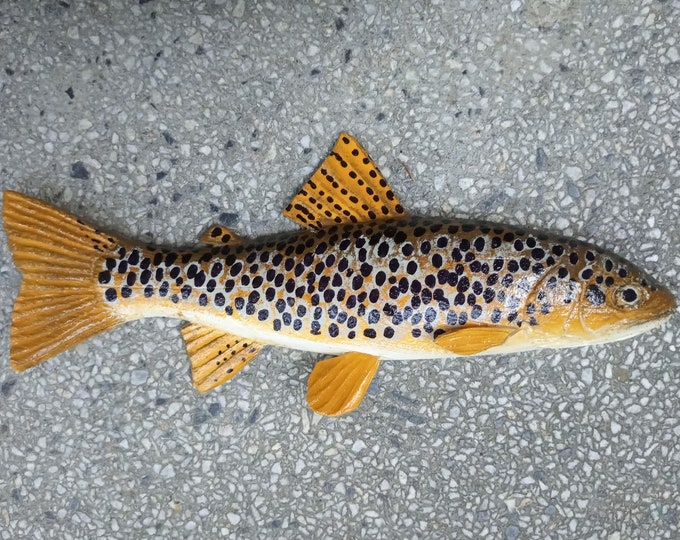 Brown Trout, Salmo Trutta, River Trout, 5-10 Inches 3D Wall Wooden Fish ...