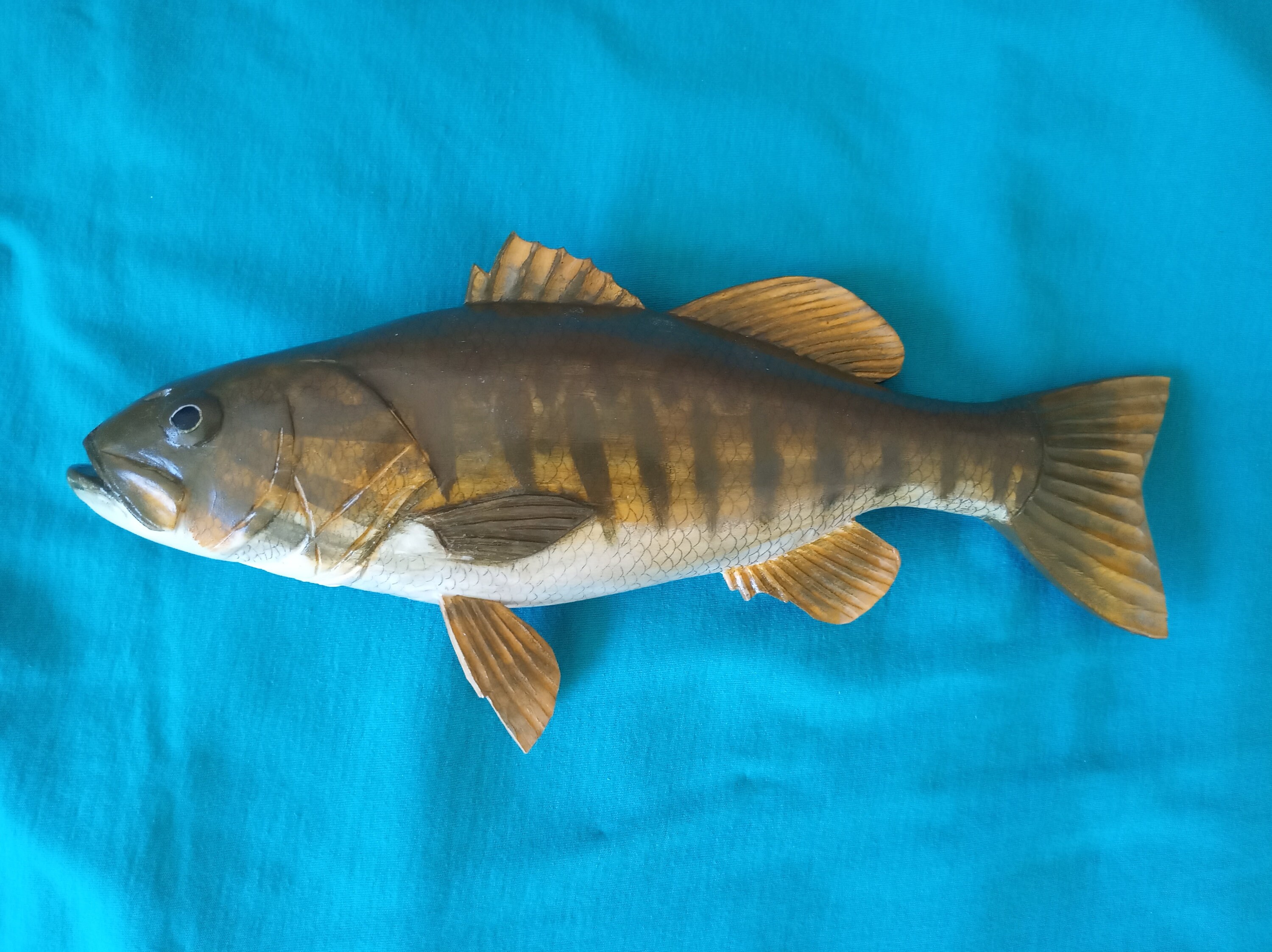Smallmouth Bass, Micropterus Dolomieu, 11-15 Inches 3D Wall Wooden Fish ...