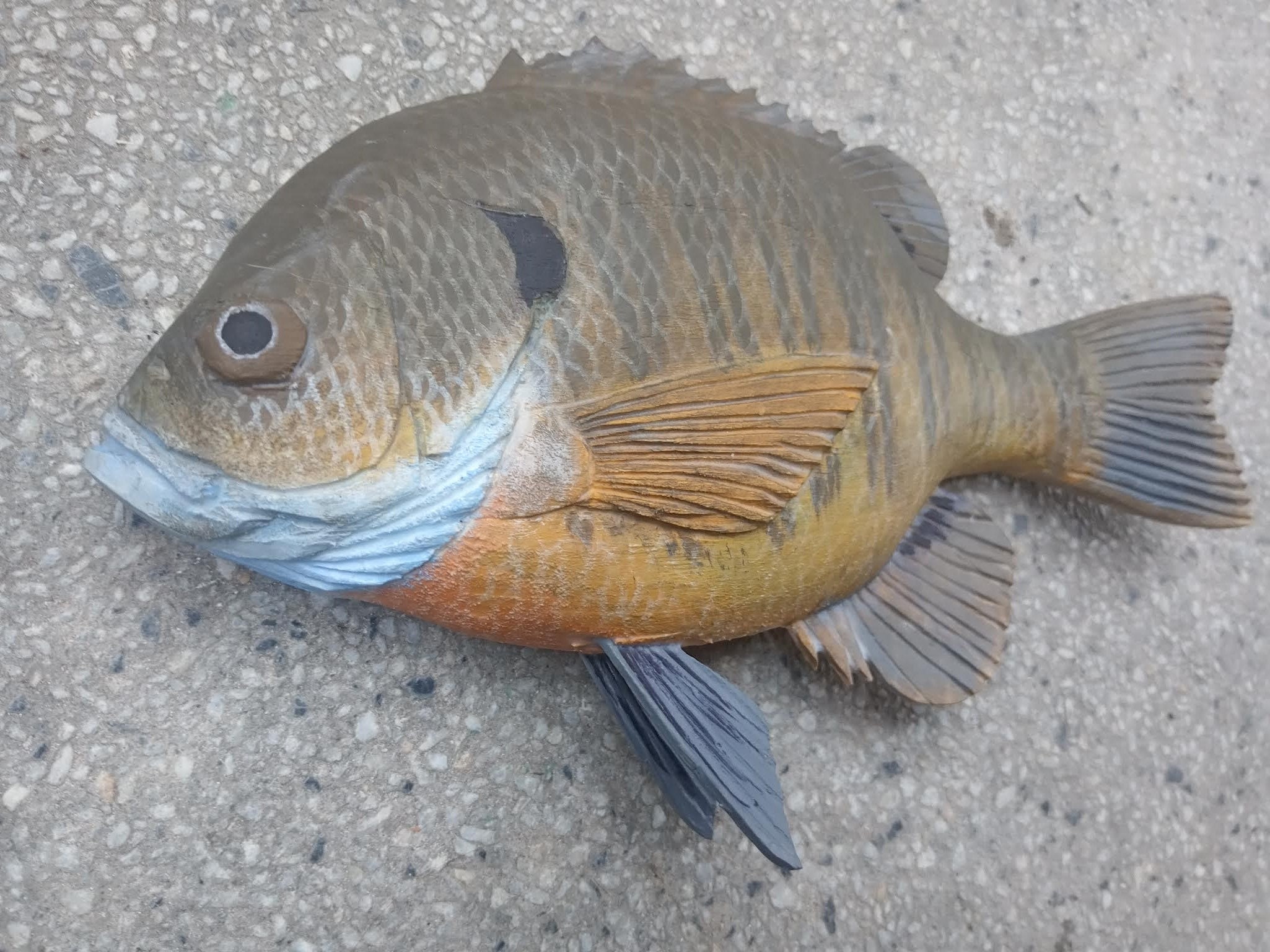 Female Bluegill, Lepomis Macrochirus, 11-15 Inches 3D Wooden Fish, Both ...