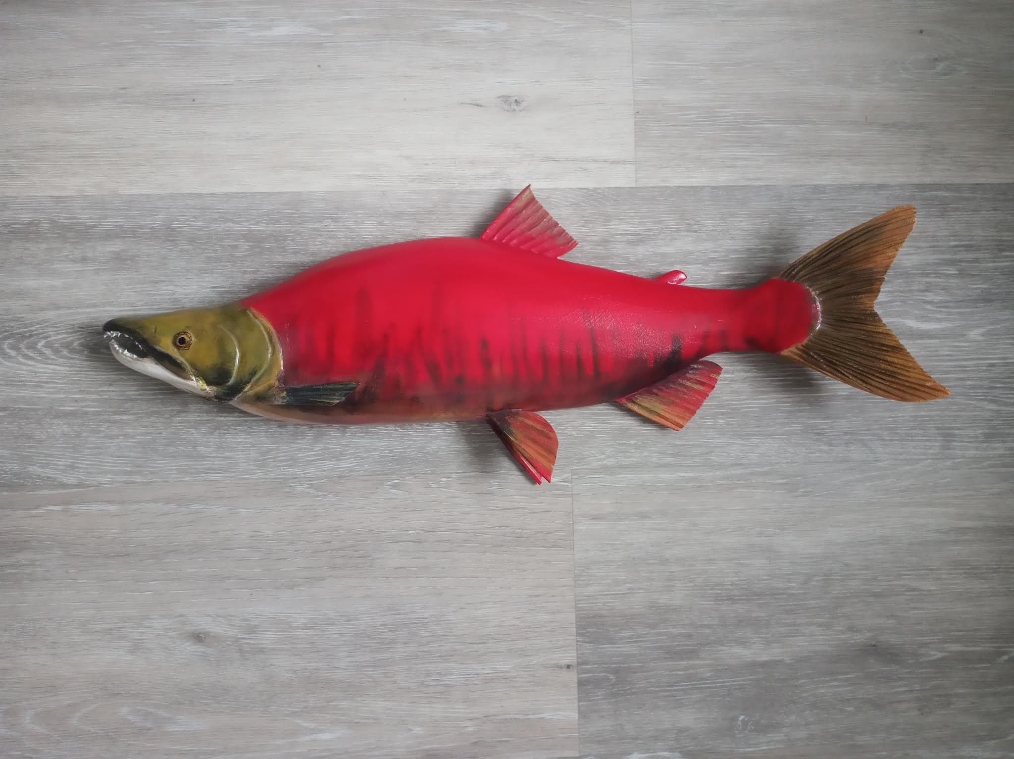 Spawning Male Sockeye Salmon, Oncorhynchus Nerka, Red Salmon, 16-20 ...