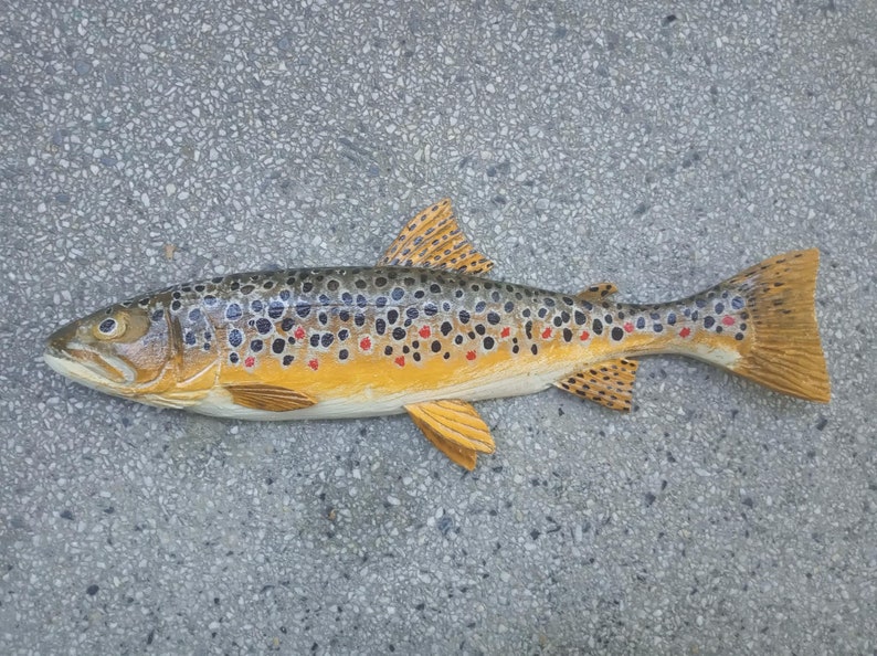 Brown Trout, Salmo Trutta, River Trout, 11-15 Inches 3D Wooden Fish ...