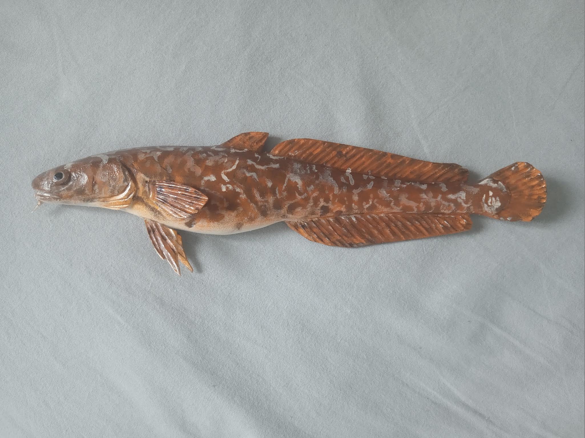 Burbot, Lota Lota, Freshwater Cod, 11-15 Inch 3D Wall Wooden Fish ...