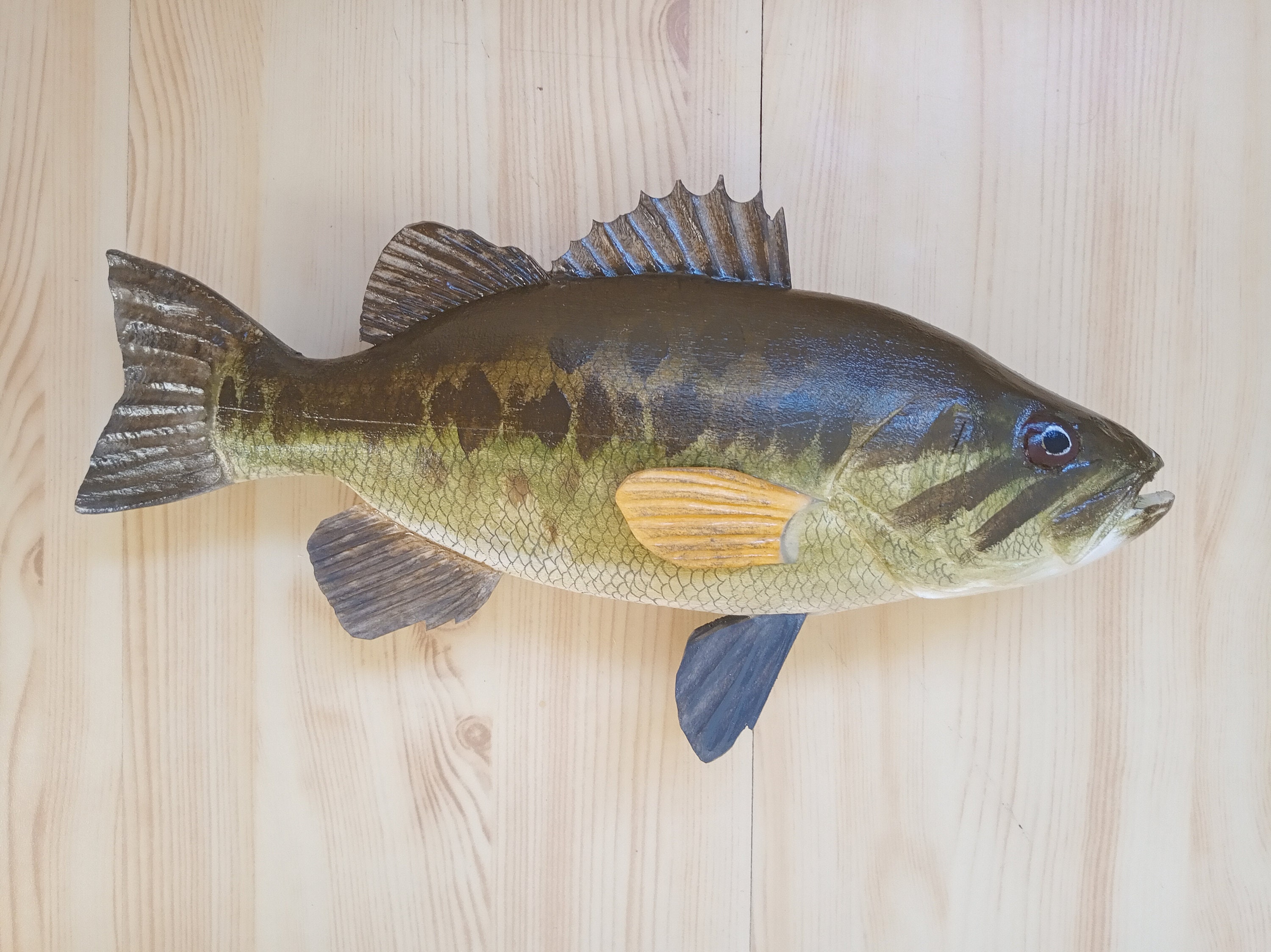 Largemouth Bass, Micropterus Salmoides, 11-15 Inches 3D Wooden Fish ...