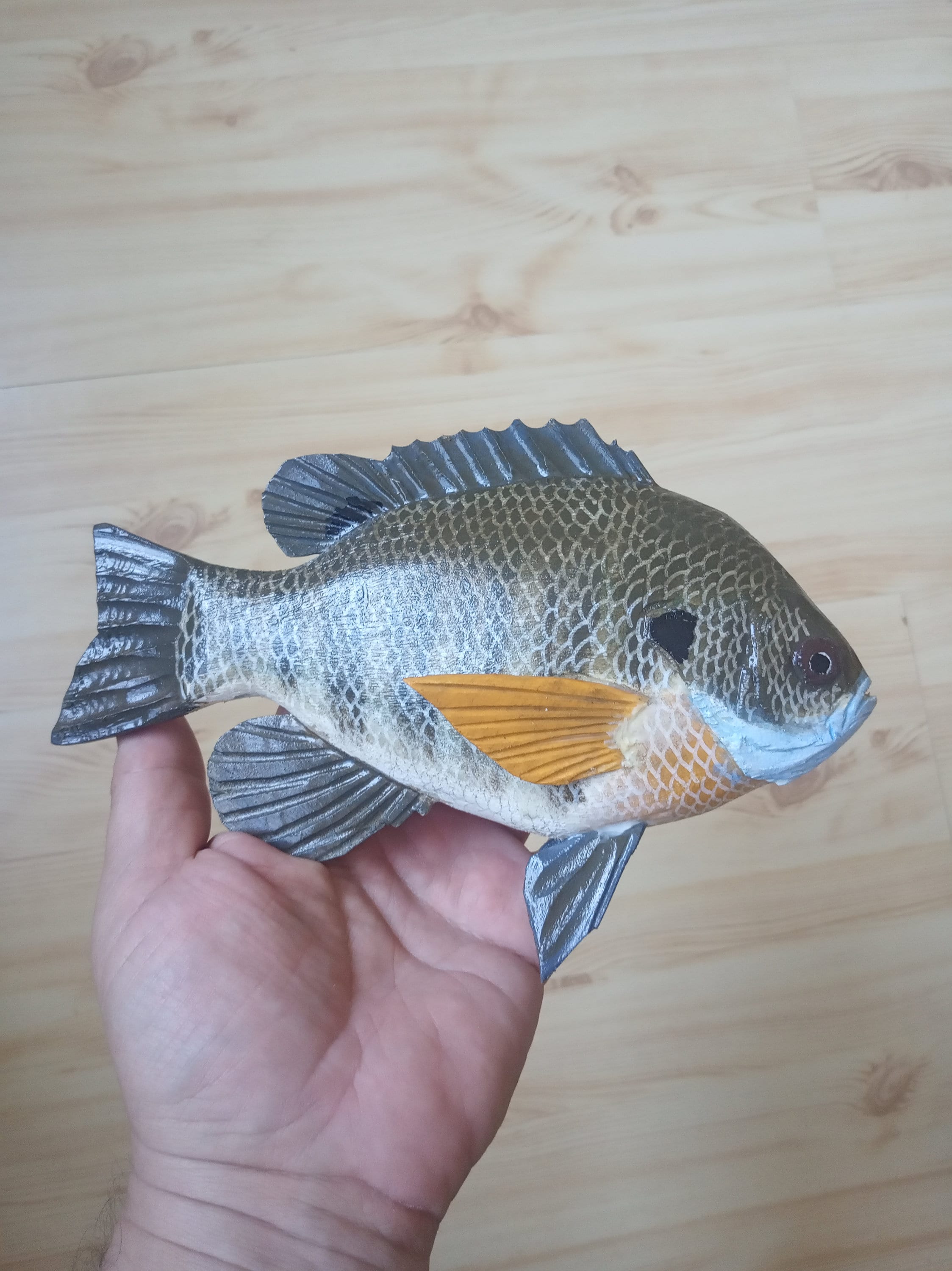 Male Bluegill, Lepomis Macrochirus, 5-10 Inches 3D Wooden Fish, Both ...