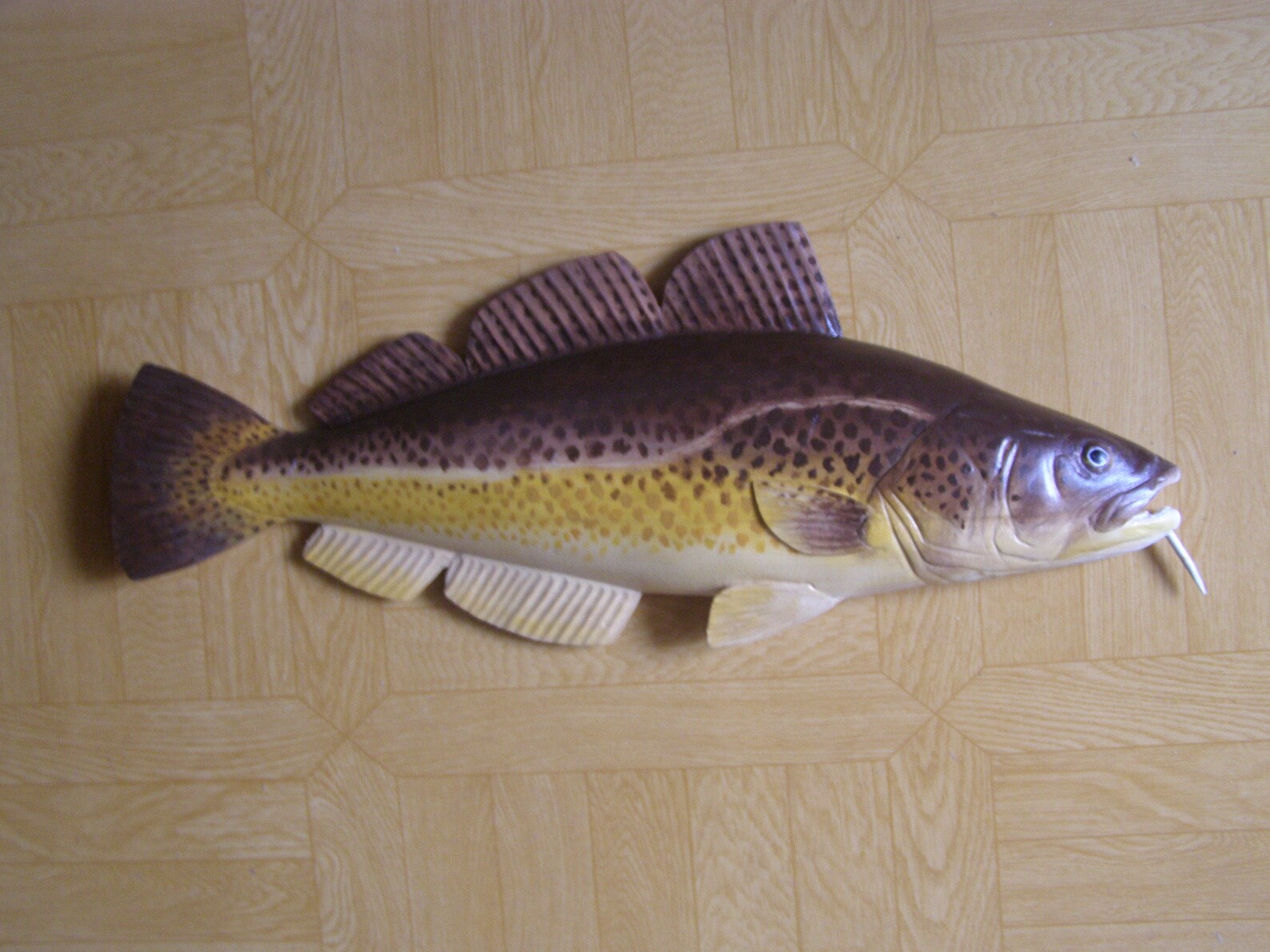 Atlantic Cod, Gadus Morhua, Cod, 11-15 Inches 3D Wooden Fish, Both ...
