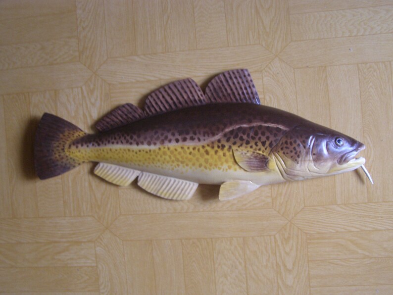 Atlantic Cod, Gadus Morhua, Cod, 11-15 Inches 3D Wooden Fish, Both ...