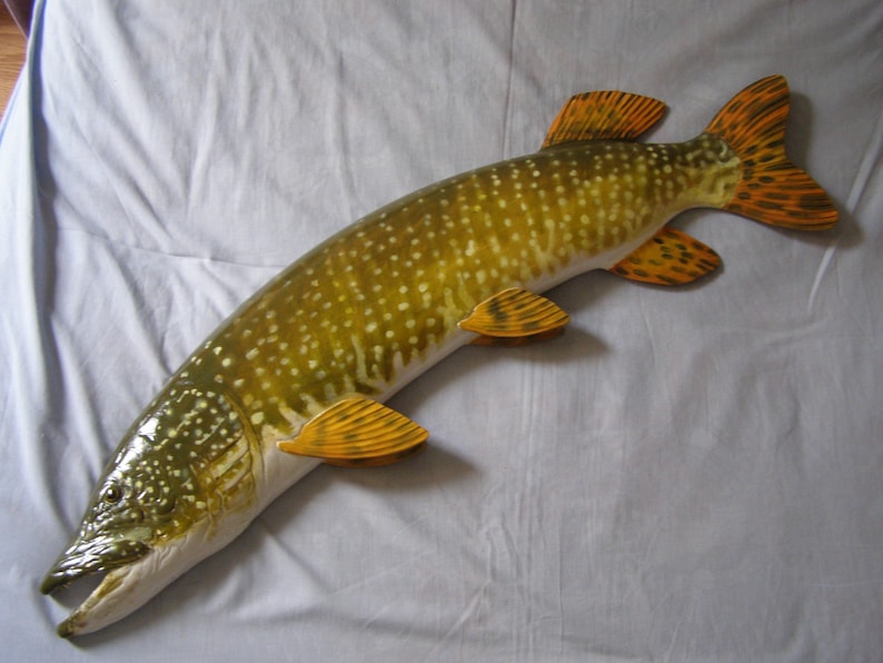Northern Pike, Esox Lucius, Pike, 36-40 Inches 3D Wall Wooden Fish, One ...