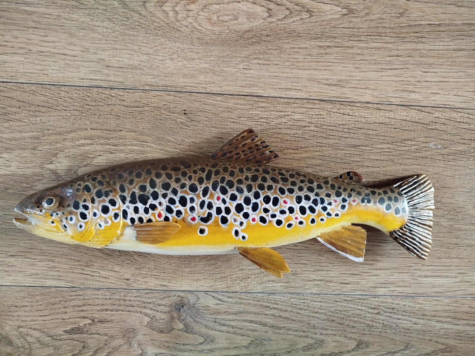Brown Trout, Salmo Trutta, River Trout, 11-15 Inches 3D Wooden Fish ...