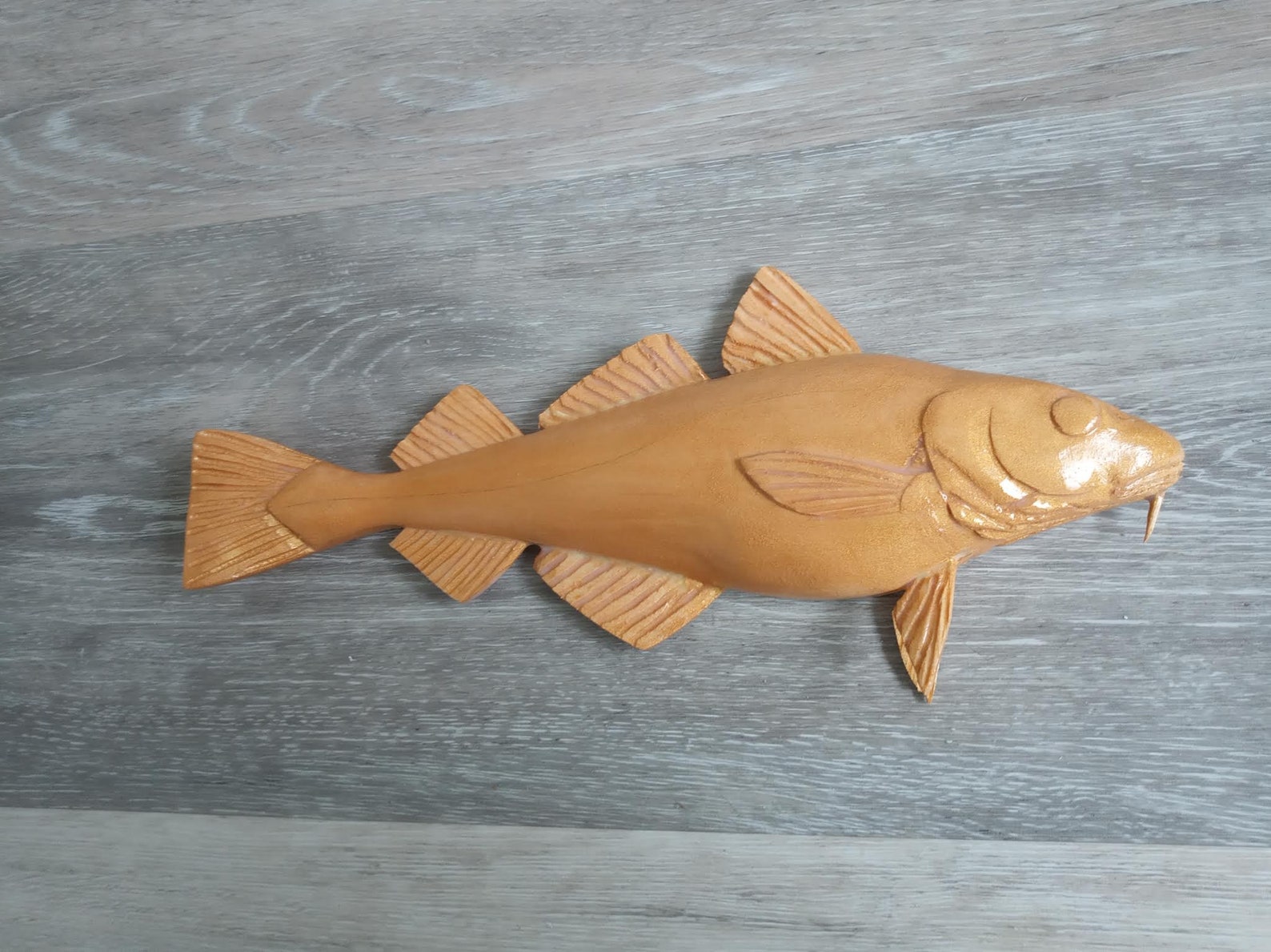 Golden Cod, Marblehead Cod, the Mascot of Marblehead, 5-10 Inch Inches ...