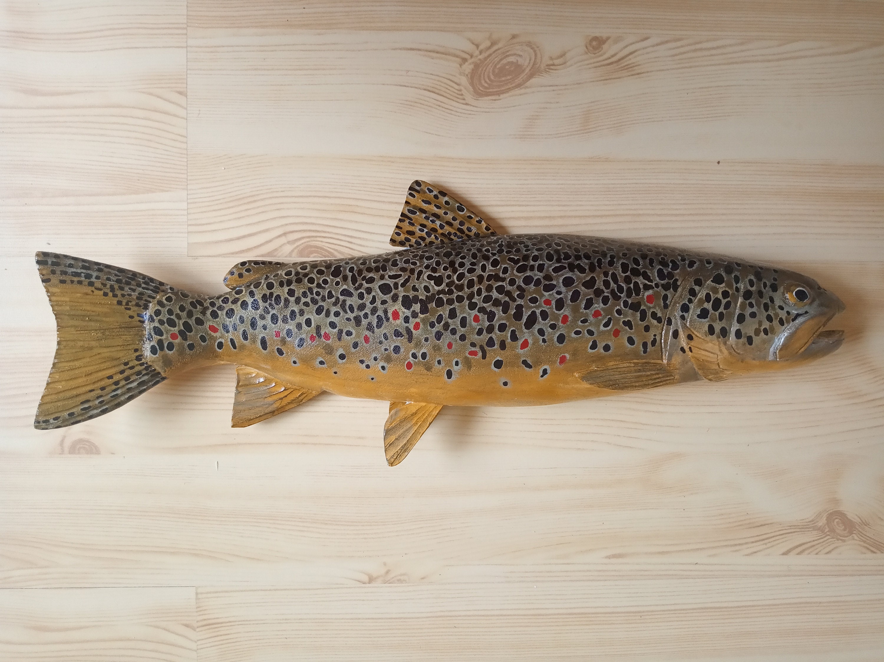 Brown Trout, Salmo Trutta, River Trout, 16-20 Inches 3D Wall Wooden ...