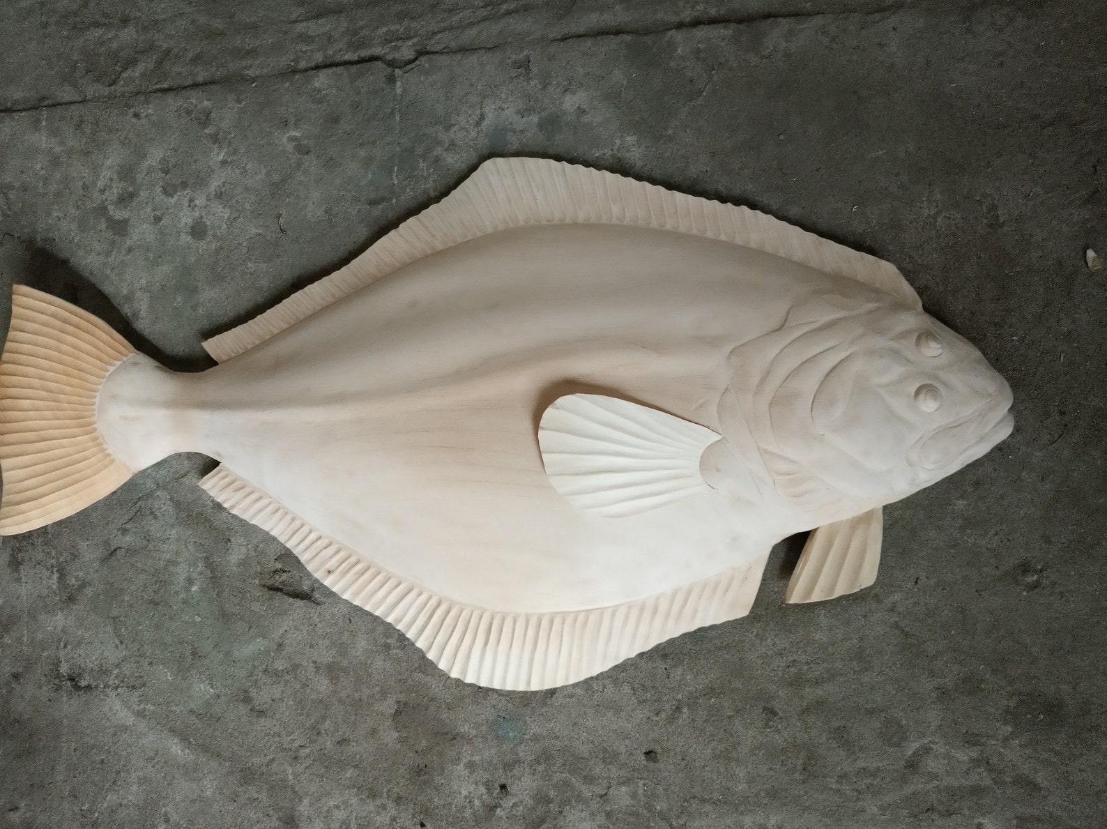 Halibut Fish Blank, 16-20 Inches 3D Wall Mounted Fish Blank, One Side ...