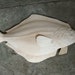 Halibut Fish Blank, 16-20 Inches 3D Wall Mounted Fish Blank, One Side ...