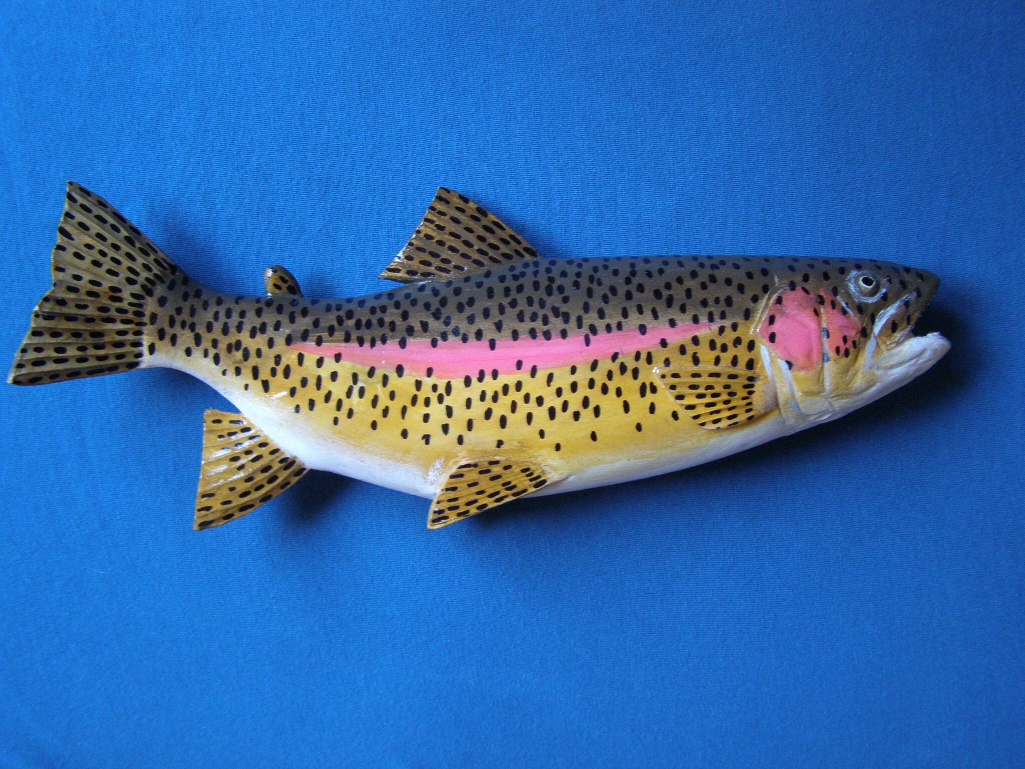 Rainbow Trout, Oncorhynchus Mykiss, Steelhead, 11-15 Inches 3D Wooden ...