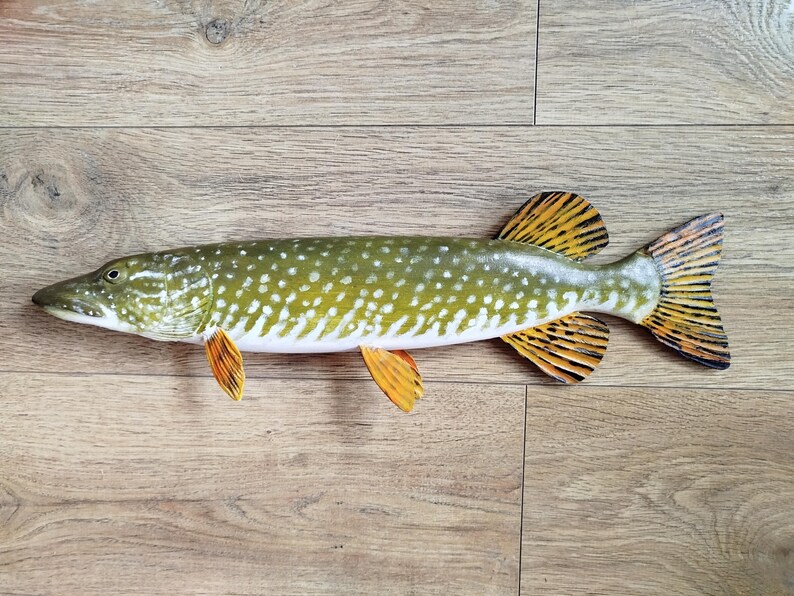 Northern Pike, Esox Lucius, Pike, 16-20 Inches 3D Wooden Fish, Both ...