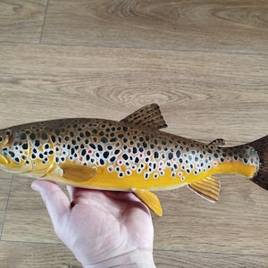 Brown Trout, Salmo Trutta, River Trout, 11-15 Inches 3D Wooden Fish ...