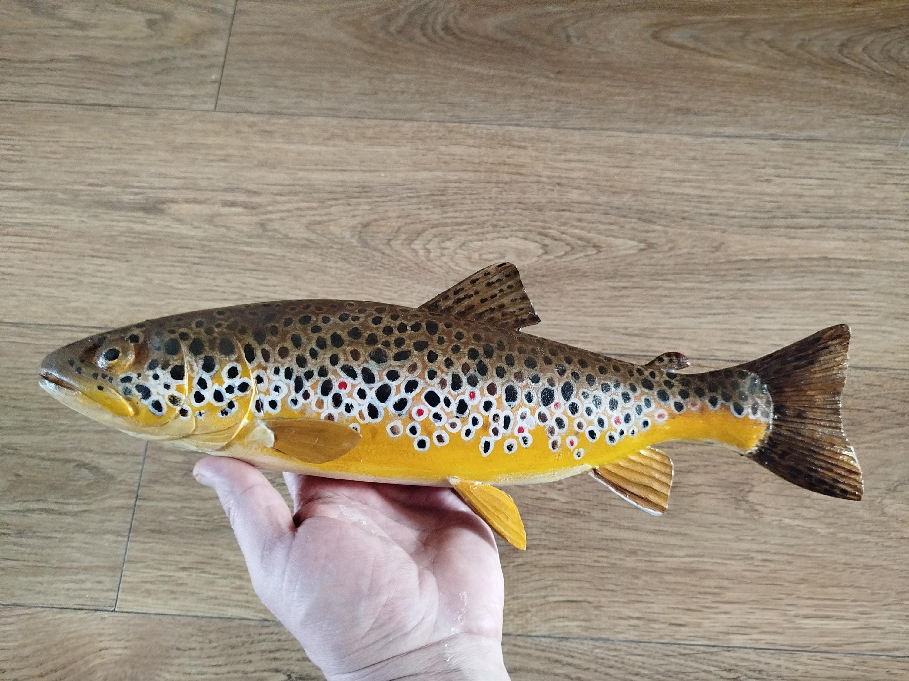 Brown Trout, Salmo Trutta, River Trout, 11-15 Inches 3D Wooden Fish ...
