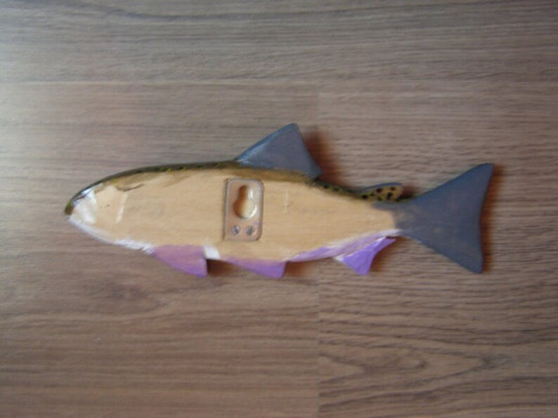 Juvenile Lahontan Cutthroat Trout, Oncorhynchus Clarkii Henshawi, 5-10 ...