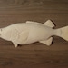 Halibut Fish Blank, 16-20 Inches 3D Wall Mounted Fish Blank, One Side ...