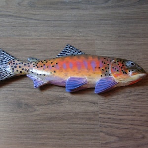Juvenile Lahontan Cutthroat Trout, Oncorhynchus Clarkii Henshawi, 5-10 ...
