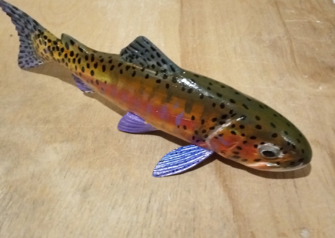 Juvenile Lahontan Cutthroat Trout, Oncorhynchus Clarkii Henshawi, 5-10 ...