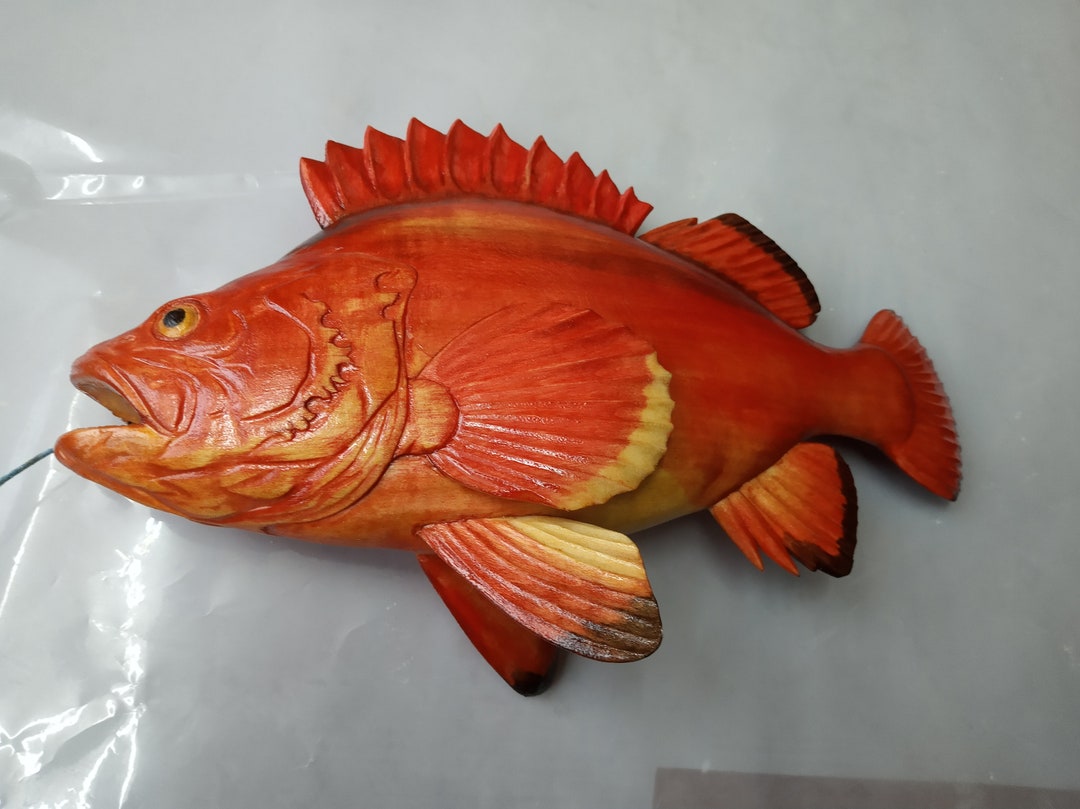 Rougheye Rockfish, Sebastes Aleutianus, Blacktip Rockfish, Rock Cod, 11 ...