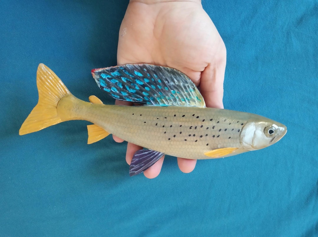 Arctic Grayling, Thymallus Arcticus, 5-10 Inches 3D Wooden Fish, Both ...