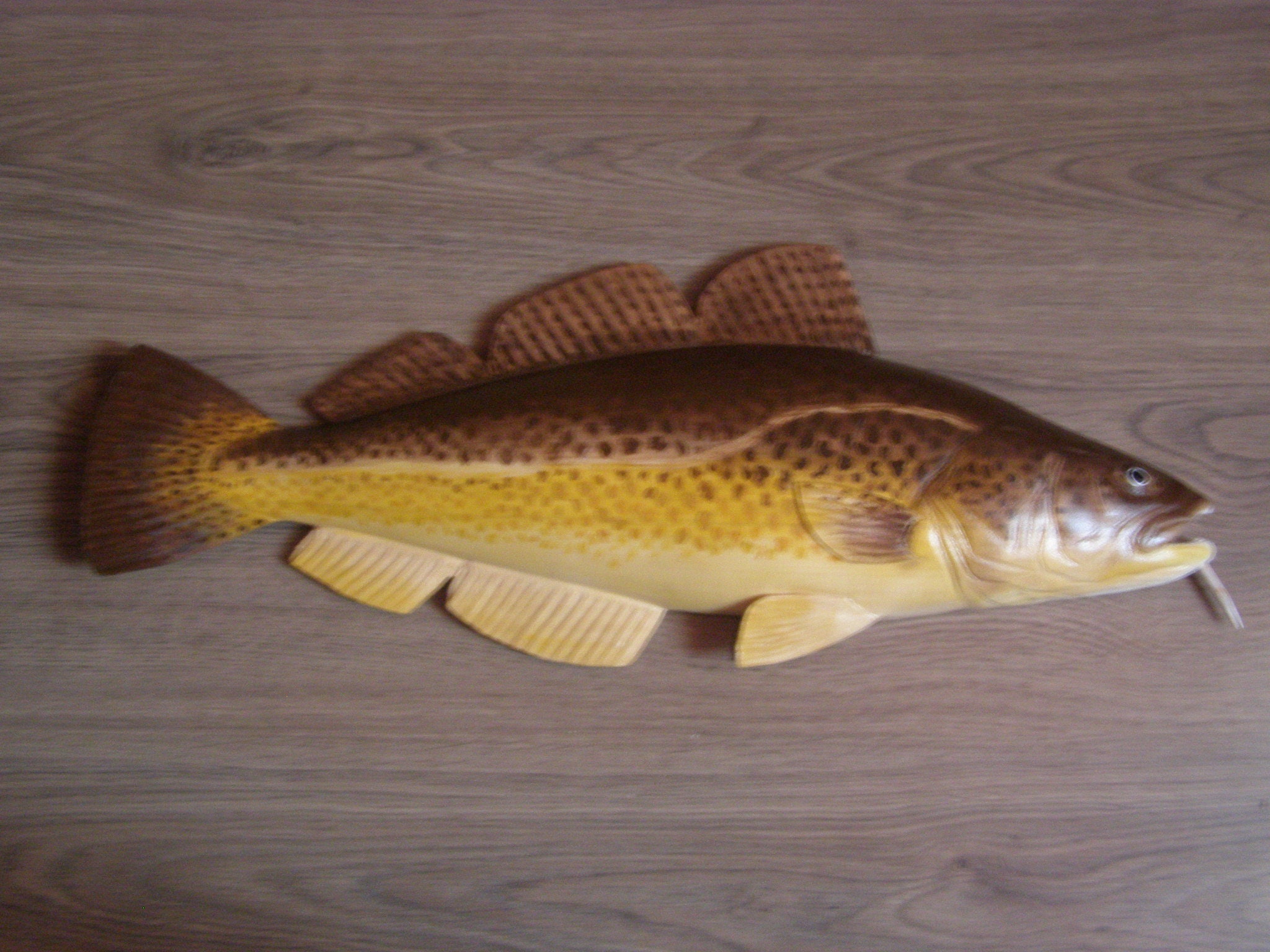 Atlantic Cod, Gadus Morhua, Cod, 11-15 Inches 3D Wooden Fish, Both ...