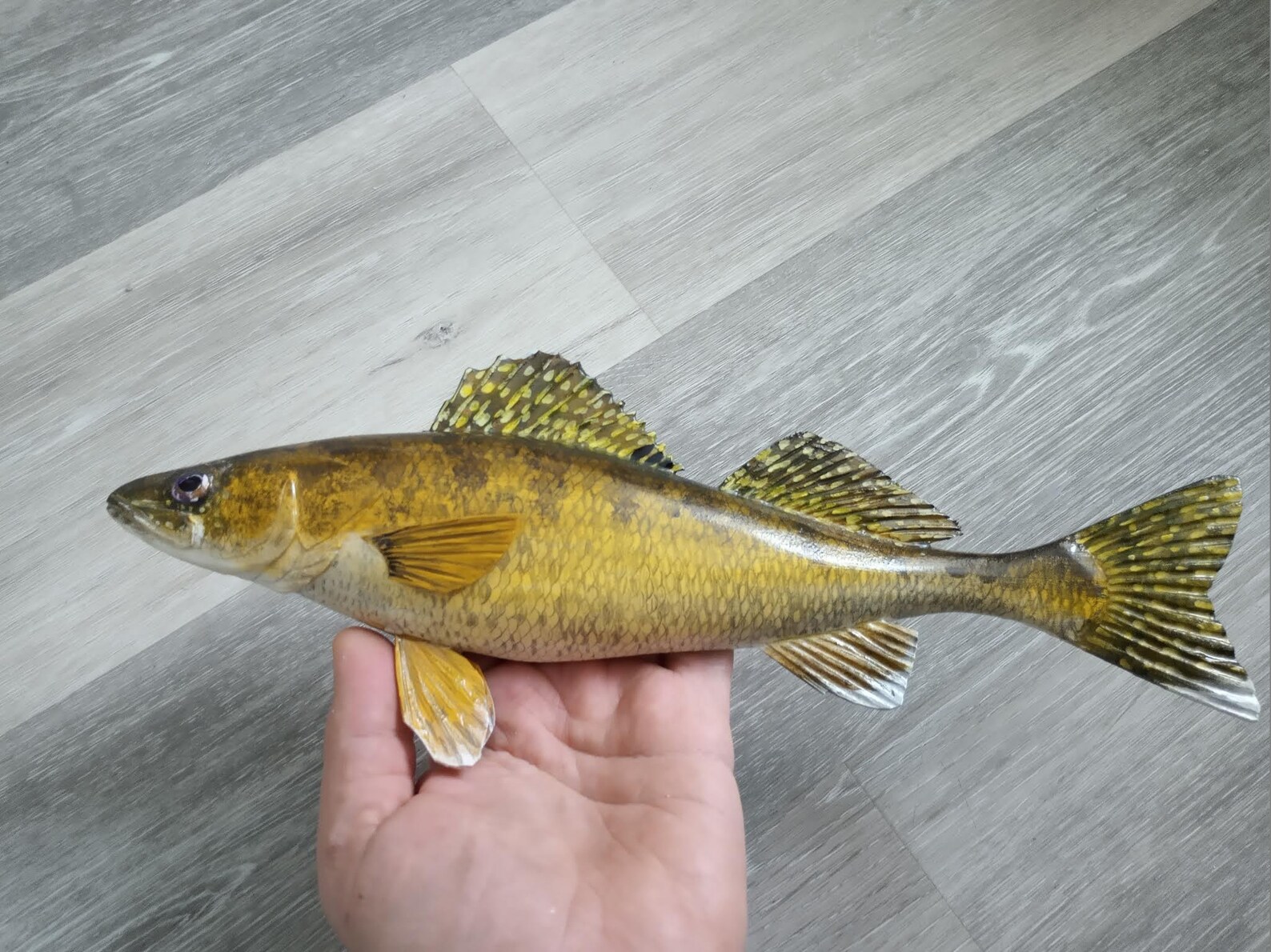 Walleye, Sander Vitreus, Yellow Walleye, 11-15 Inch 3D Wall Wooden Fish ...