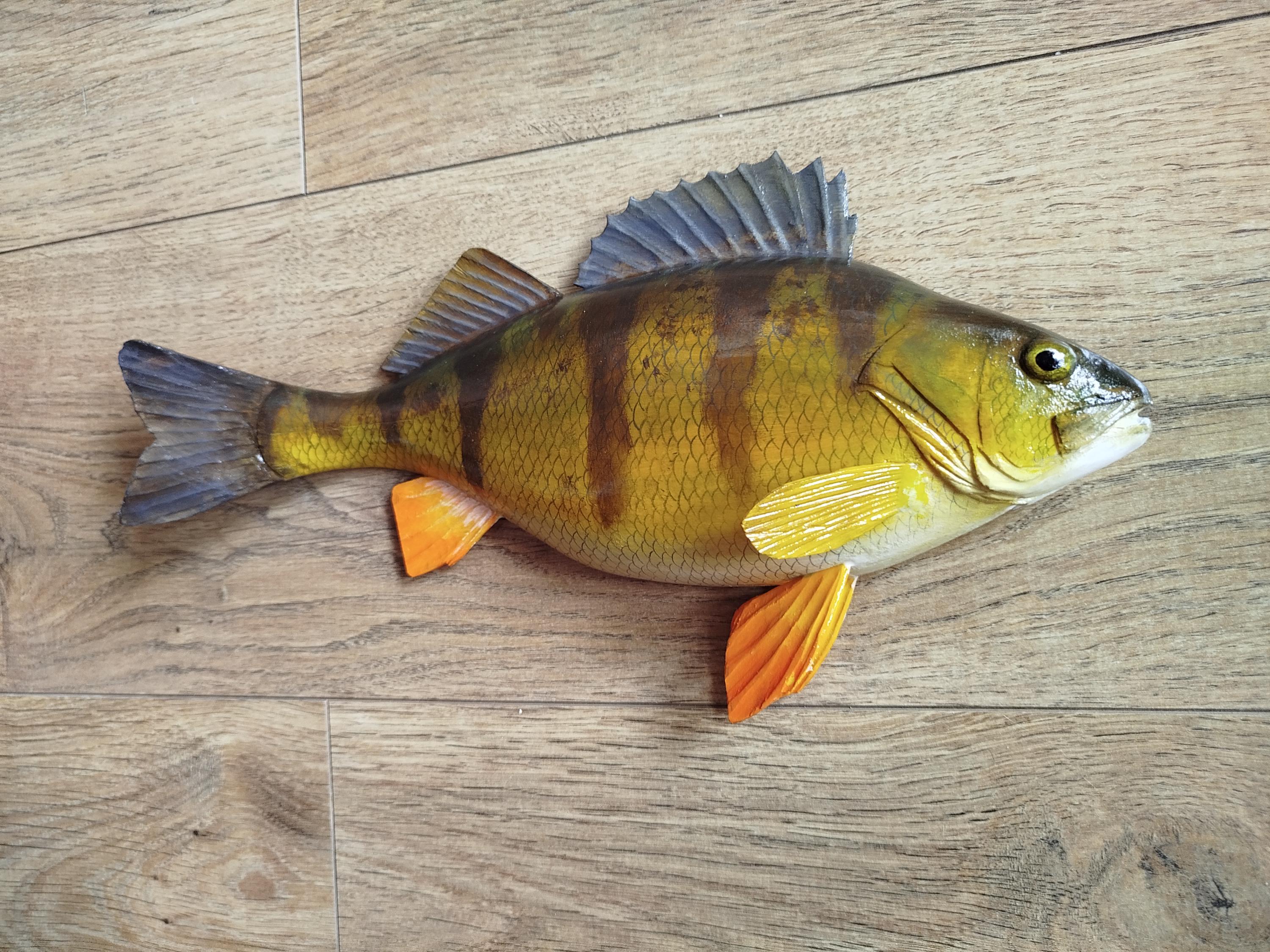 Yellow Perch, Perca Flavescens, American Perch, 11-15 Inches 3D Wall ...