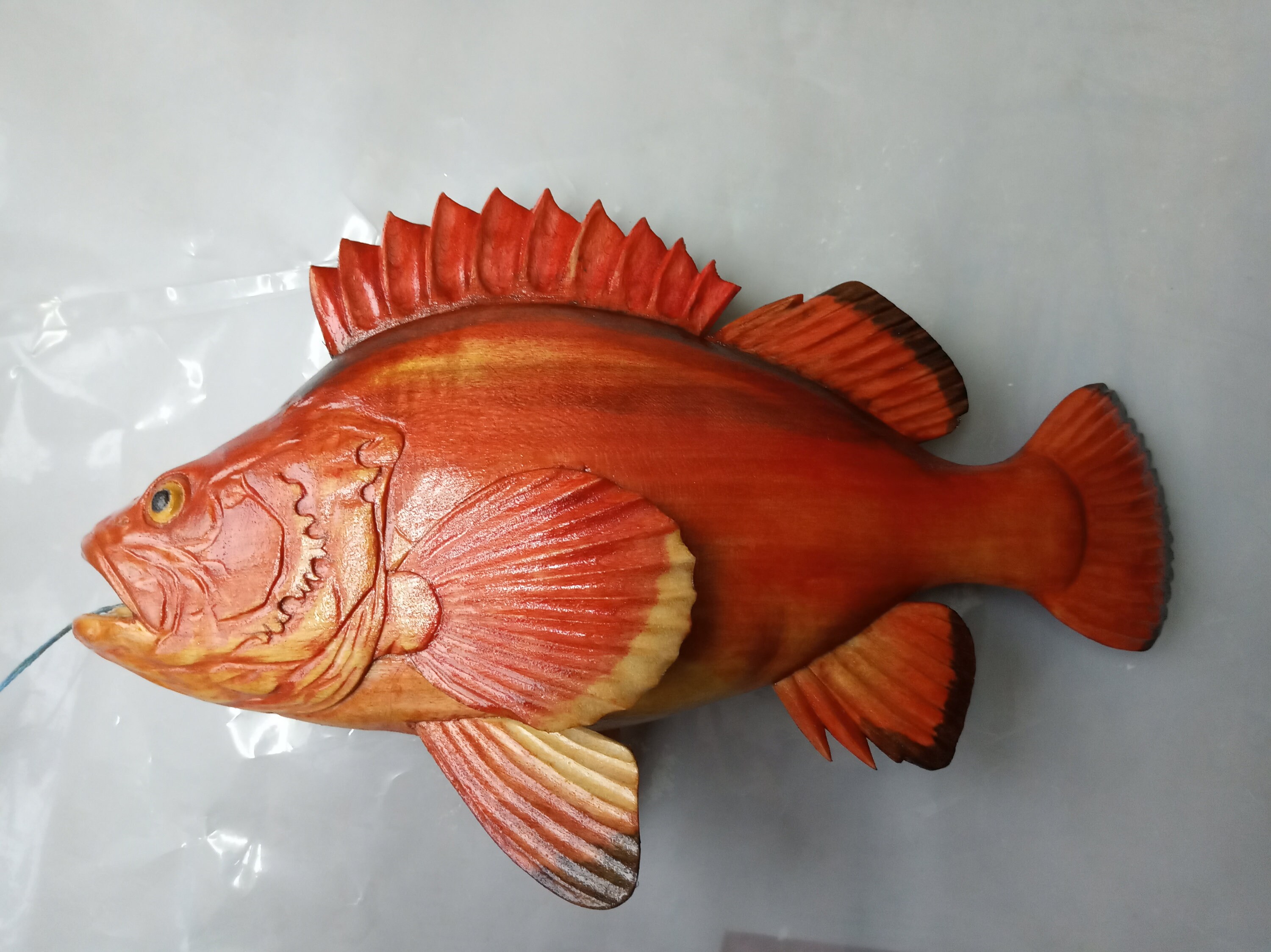 Rougheye Rockfish, Sebastes Aleutianus, Blacktip Rockfish, Rock Cod, 11 ...