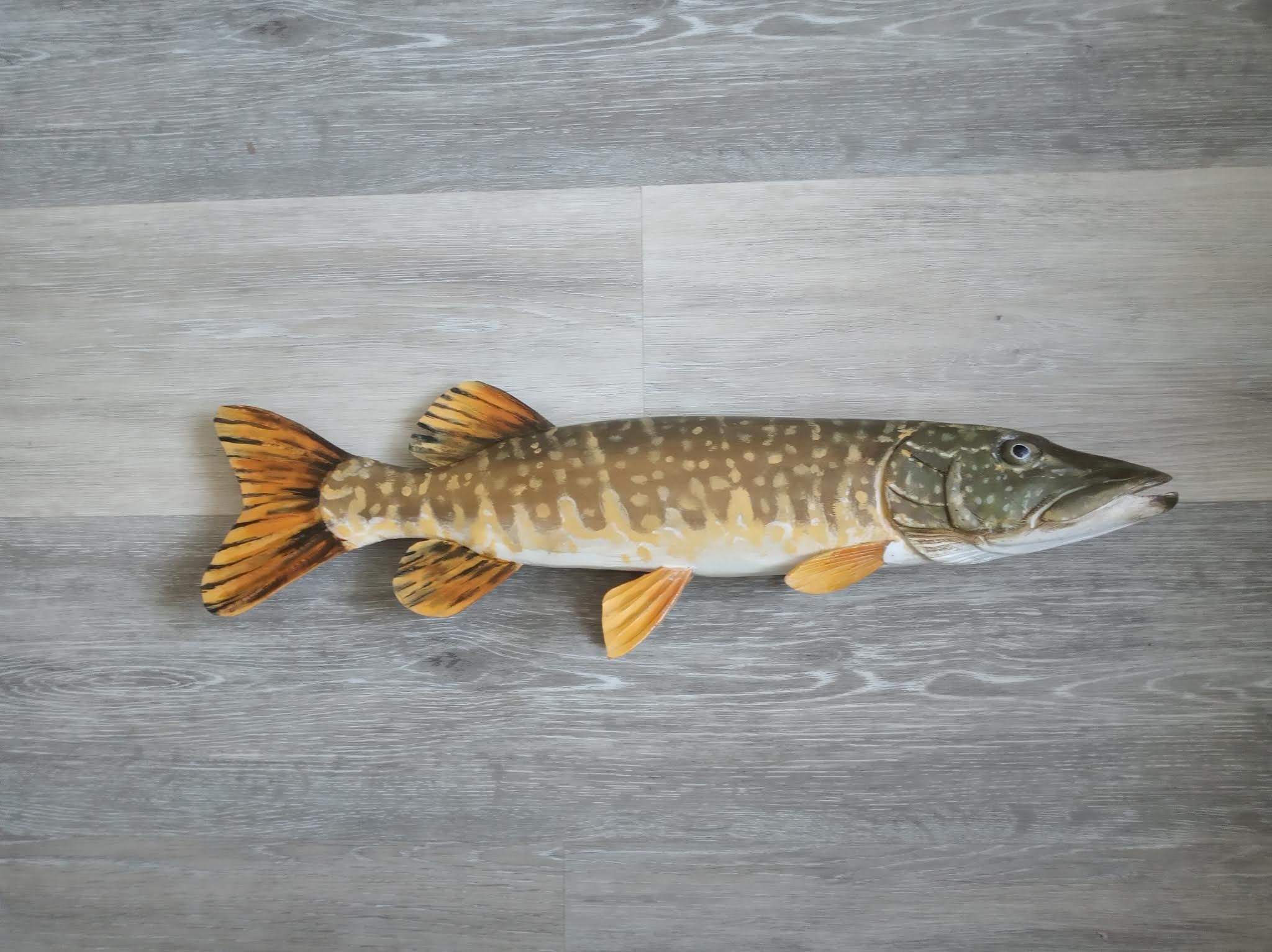 Northern Pike, Esox Lucius, Pike, 16-20 Inches 3D Wooden Fish, Both ...