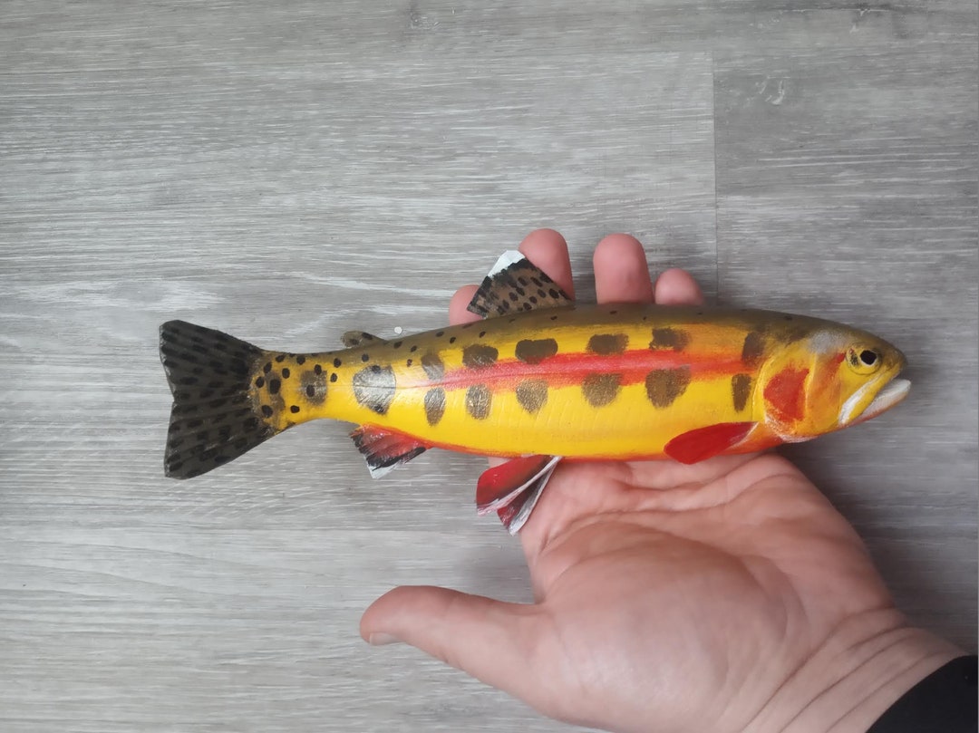 Juvenile California Golden Trout, Oncorhynchus Mikyss Aguabonita, 5-10 ...