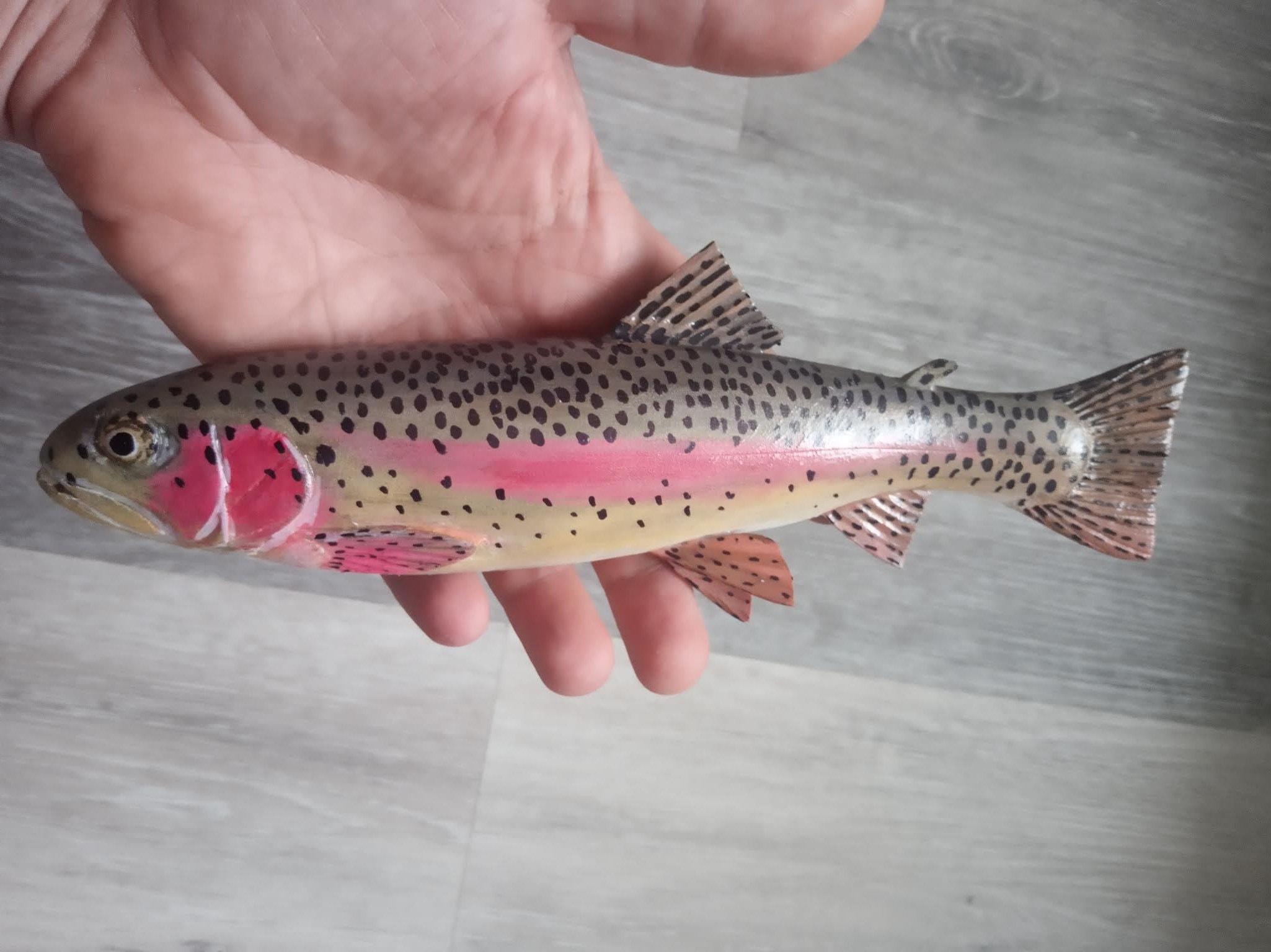 Rainbow Trout, Oncorhynchus Mykiss, Steelhead, 5-10 Inches 3D Wall ...
