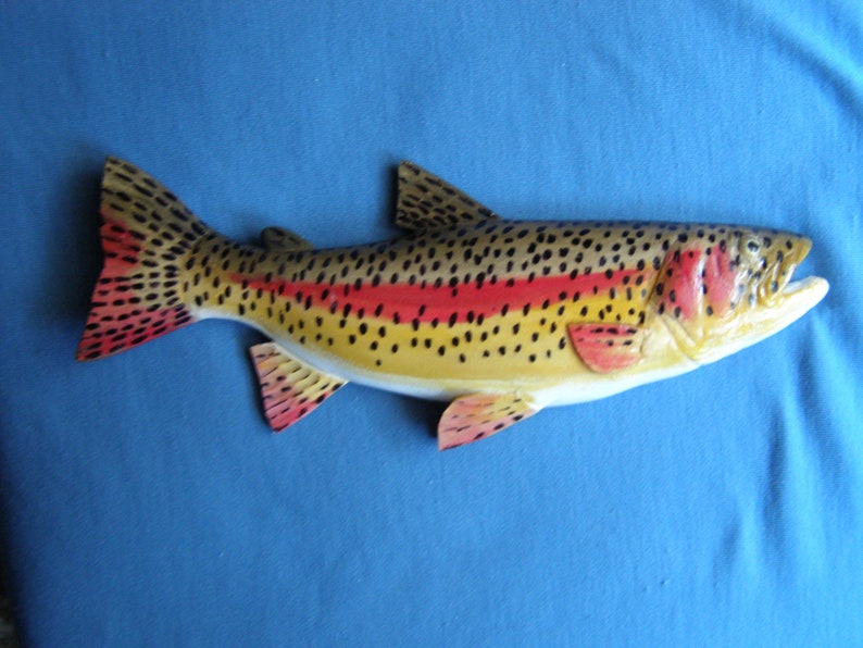 Rainbow Trout, Oncorhynchus Mykiss, Steelhead, 5-10 Inches 3D Wall ...