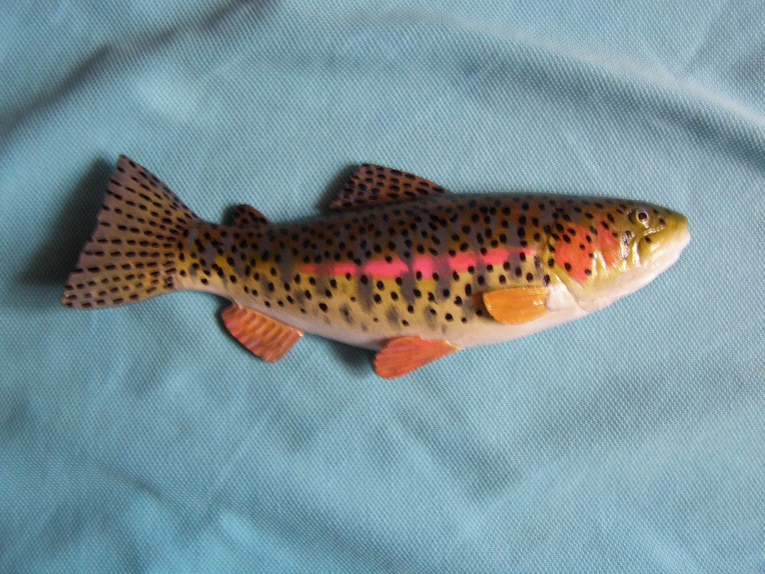Juvenile Rainbow Trout, Oncorhynchus Mykiss, Steelhead, 5-10 Inches 3D ...
